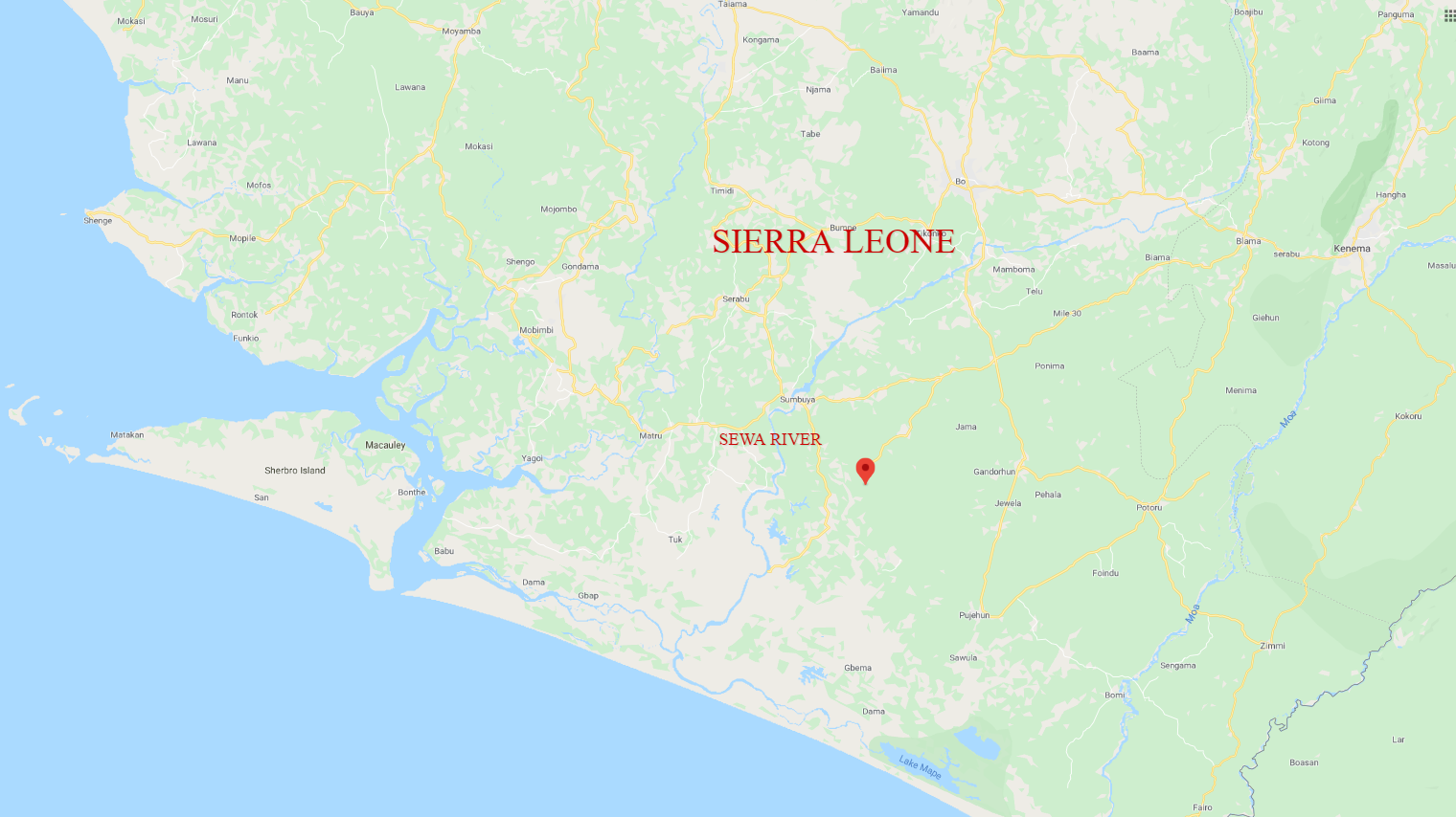 Biotopes of Sierra Leone | Epiplatys annulatus| The Clown Killifish ...