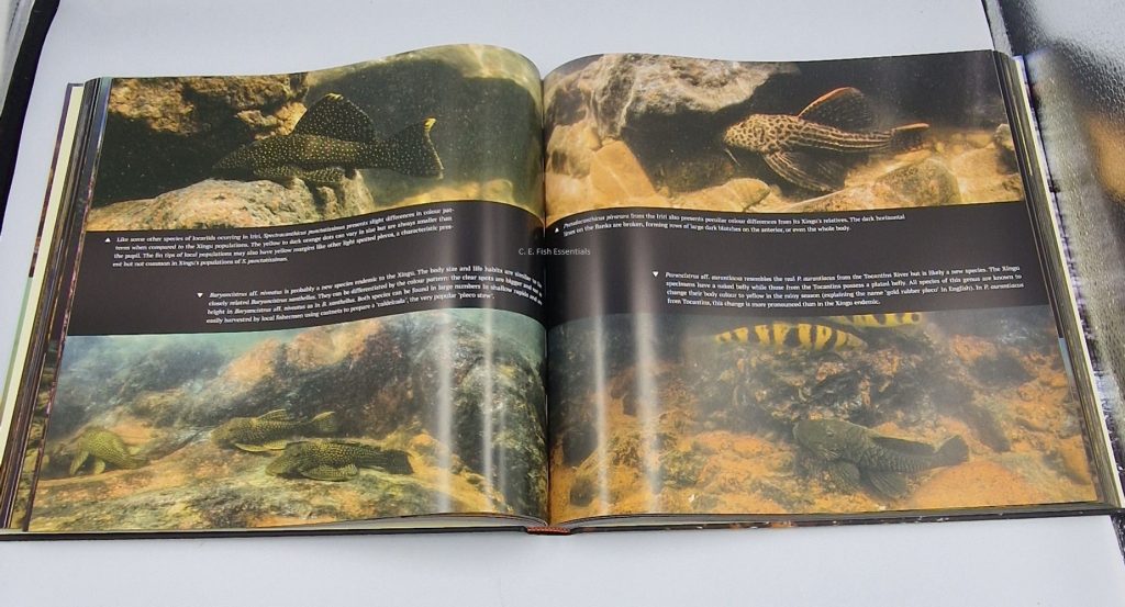 Xingu Below Water - By Oliver Lucanus & Leandro Sousa (Book) - CE Fish Essentials